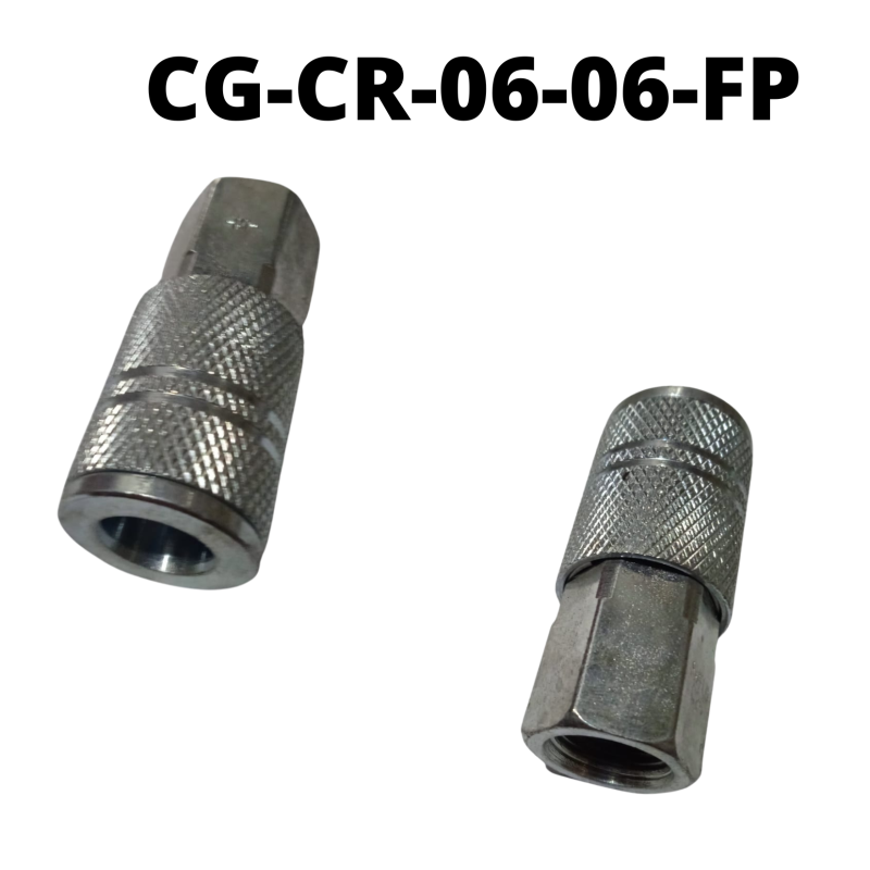 CG-CR-06-06-FP
